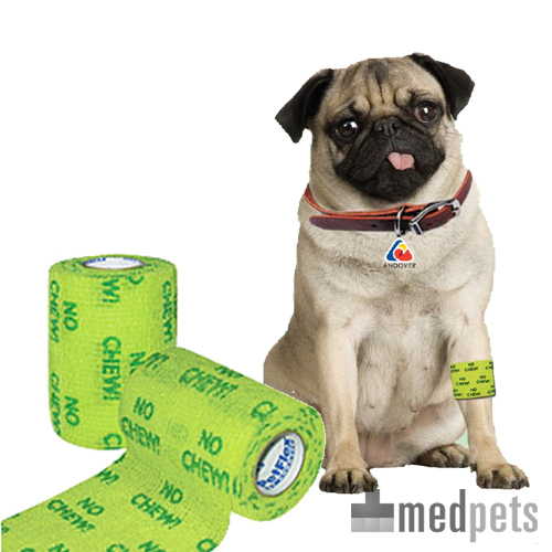 Petflex | Selbsthaftende, elastische Binde | Hund & Katze